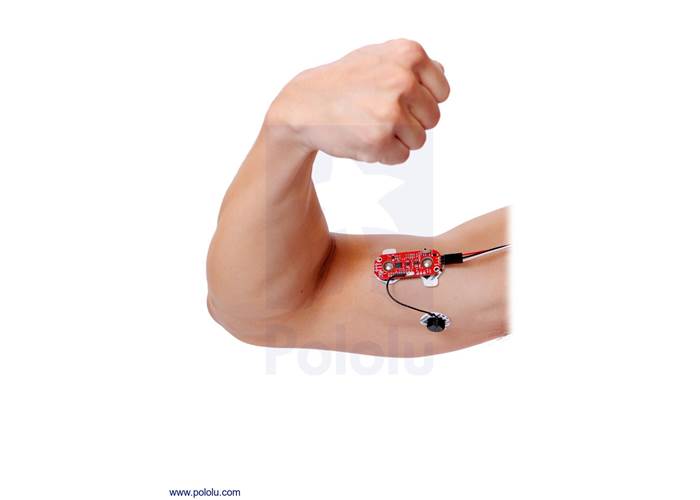 MyoWare Muscle Sensor - Robot Gear Australia